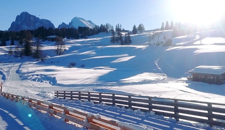 Winter auf der Seiser Alm - Seiser Alm - Dolomiten, Südtirol