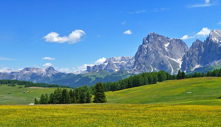 Seiser Alm - Kastelruth, Völs, Dolomiten - Seiser Alm - Dolomiten, Südtirol